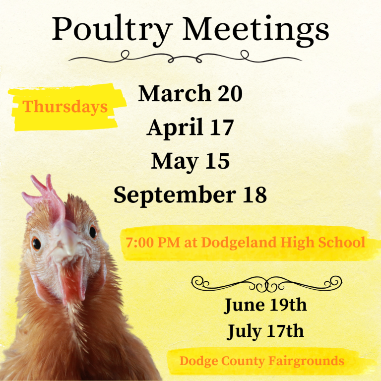🐔Poultry Project Meeting – Extension Dodge County