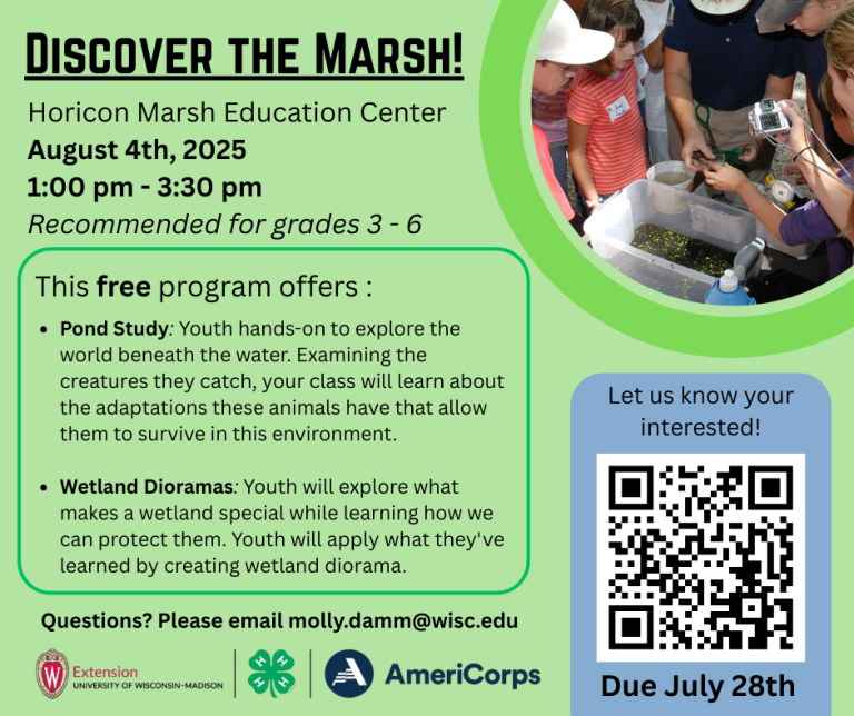 Discover The Marsh! – Extension Dodge County