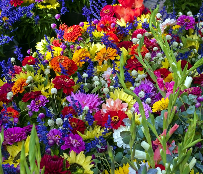 Want to be a Wisconsin Master Gardener? – Extension Dodge County