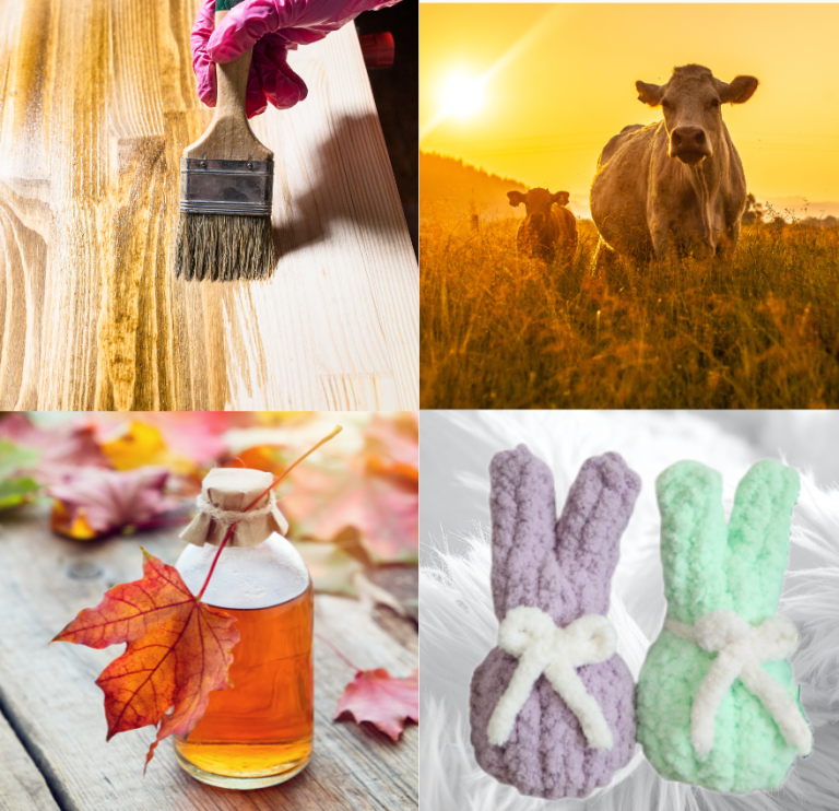 Family Learning Day for February 21st, 2026 – Extension Dodge County